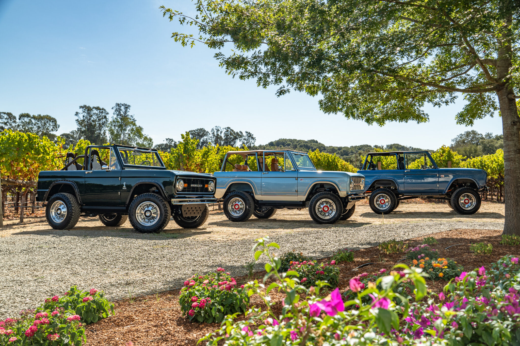 Bronco Builder | Gateway Bronco